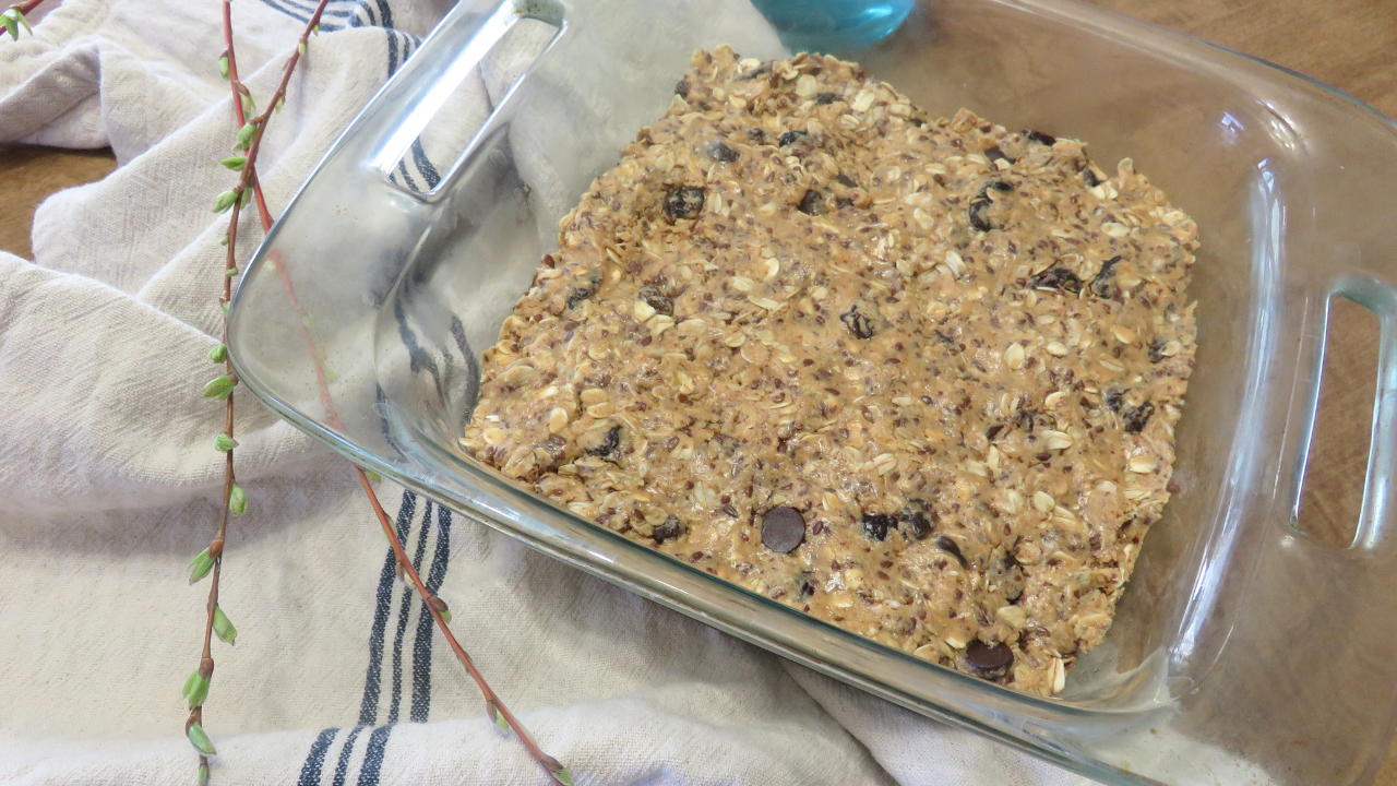 Delicious and nutritious homemade protein bars - Davee Kilian